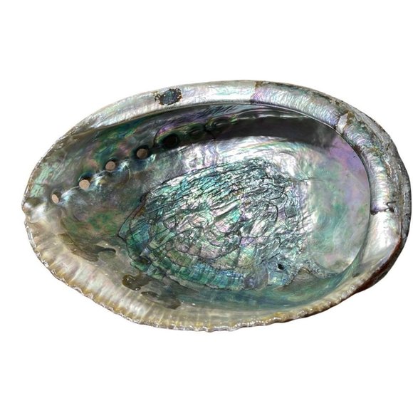 No brand / Not sure | Accents | Vintage Abalone Shell | Poshmark